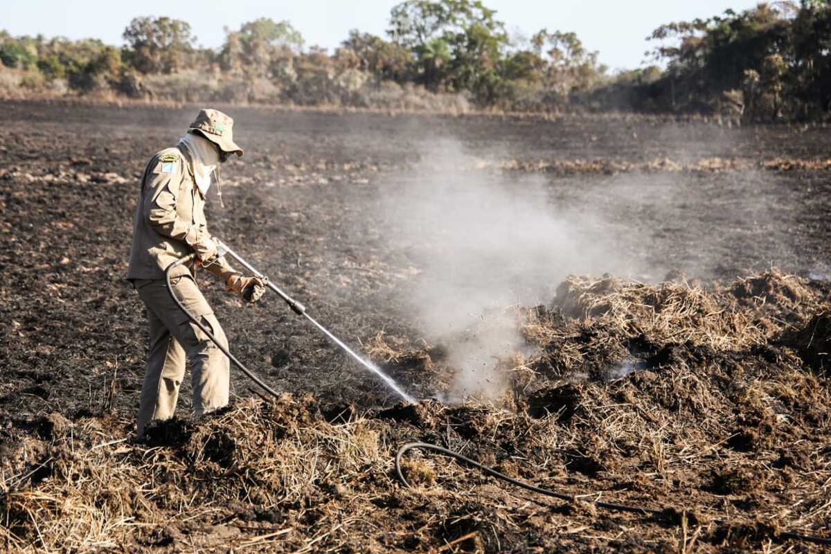Queimadas controladas no Pantanal permanecem proibidas até o fim do ano ...
