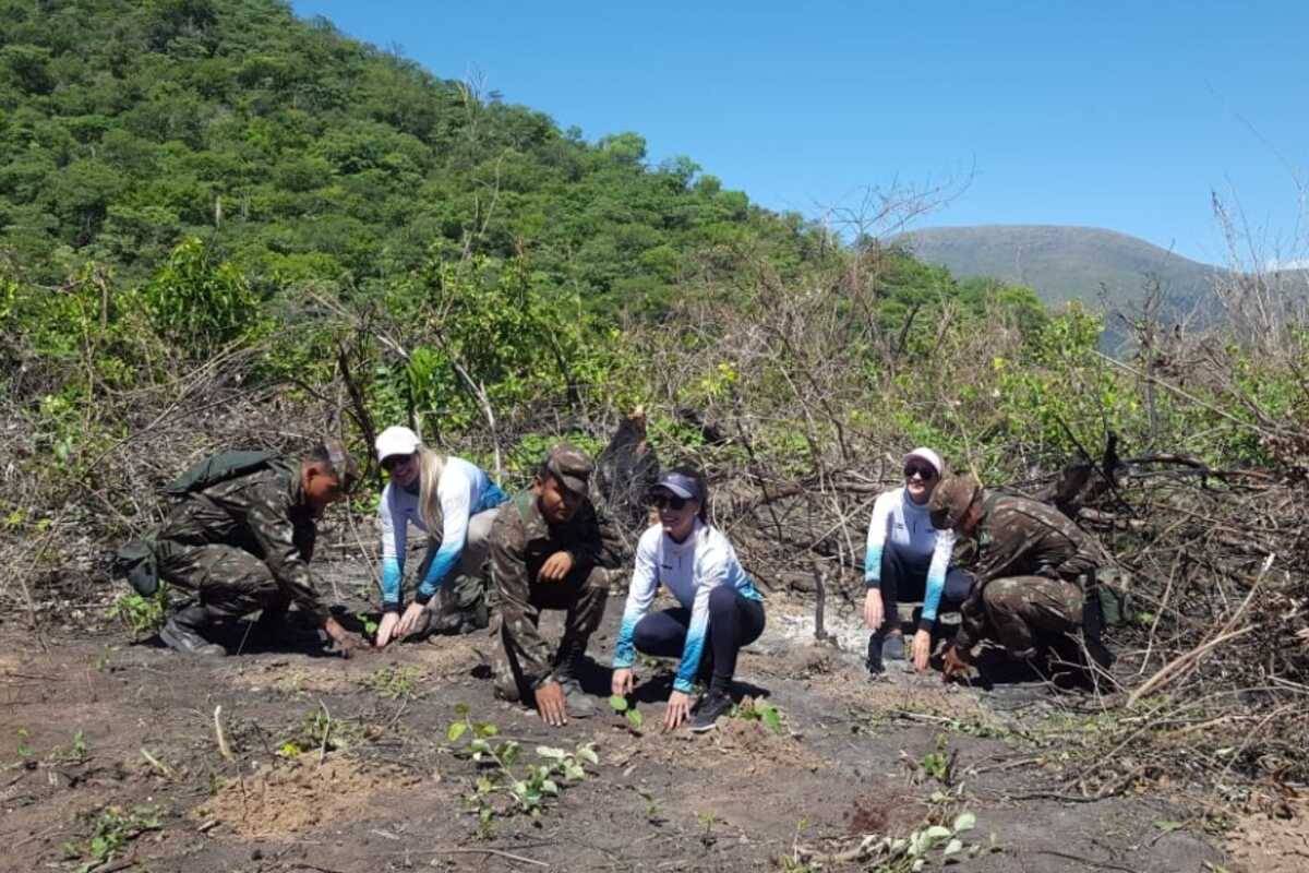 Mulheres plantam 500 mudas de ipê às margens do Rio Paraguai em Corumbá ...