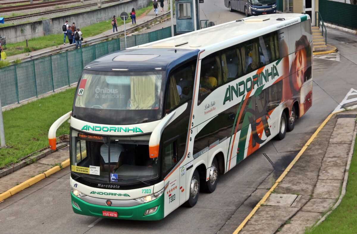 Andorinha celebra 75 anos com desconto nas passagens interestaduais ida ...