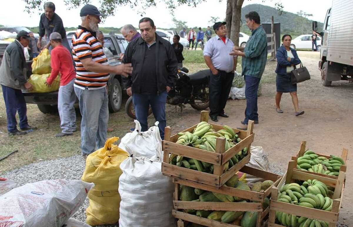 Inicia hoje cadastro de produtores rurais que desejam fornecer para o ...